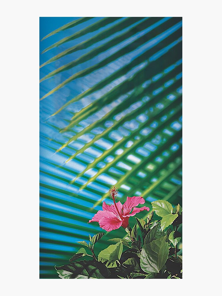 "Minimalist Fiji Water Retro Vintage Nostalgia Vaporwave Lofi" Sticker ...