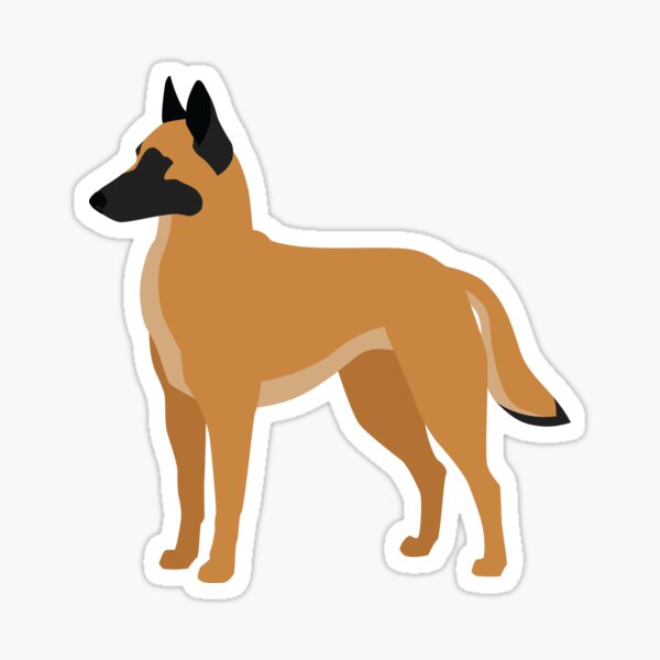 "Belgian Malinois" Sticker by Hound-and-Hare | Redbubble