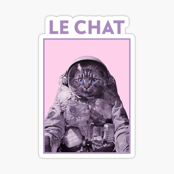 "le chat - space cat" Sticker by BStoneApperal | Redbubble