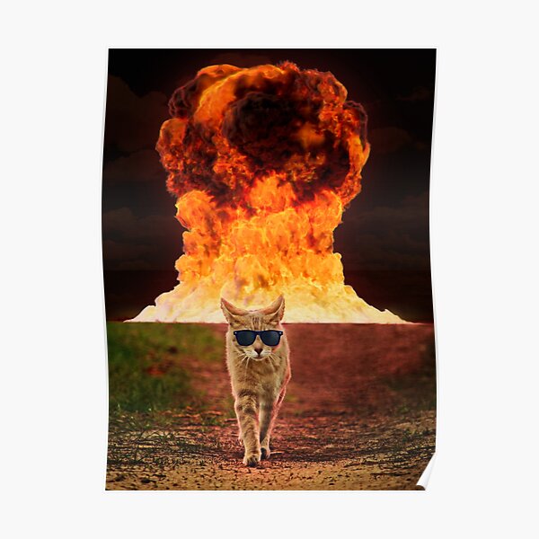 Póster «Catástrofe | Explosión de gato genial» de MeowMerch | Redbubble