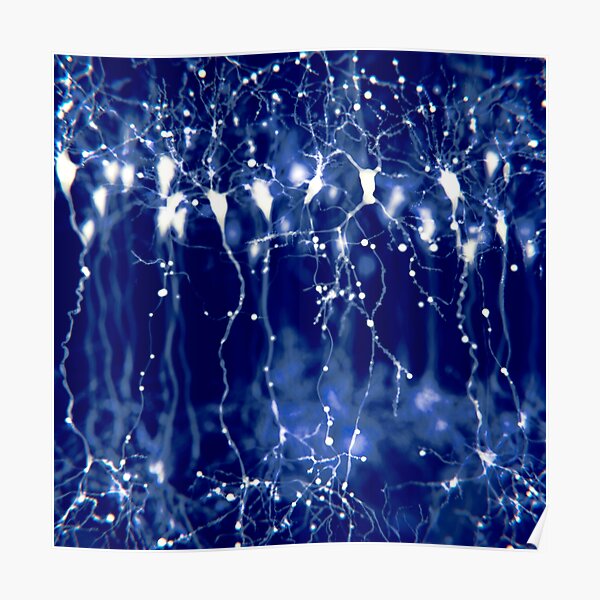 "Brain neurons" Poster by Heybumblebee | Redbubble
