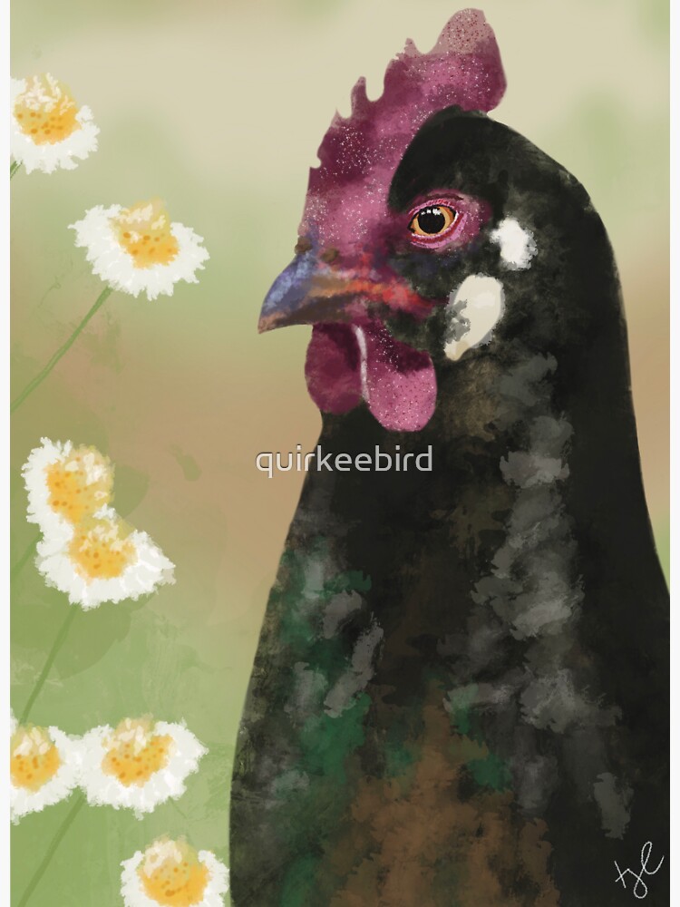 "Daisy the Chicken" Sticker by quirkeebird | Redbubble