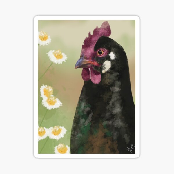 "Daisy the Chicken" Sticker by quirkeebird | Redbubble