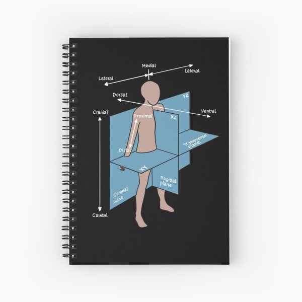 "Dorsal Ventral Planes Of Human Body - Nurse Or Physician" Journal for ...