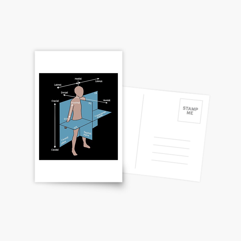 "Dorsal Ventral Planes Of Human Body - Nurse Or Physician" Postcard for ...
