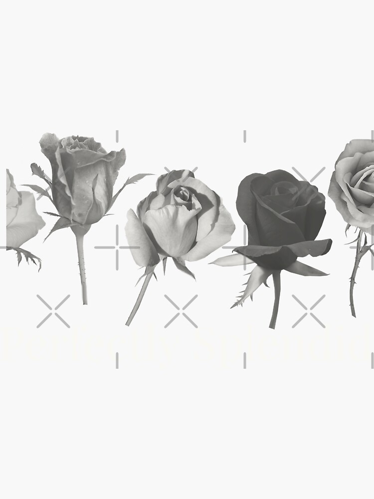 "Perfectly Splendid" Sticker for Sale by hashnan21 | Redbubble