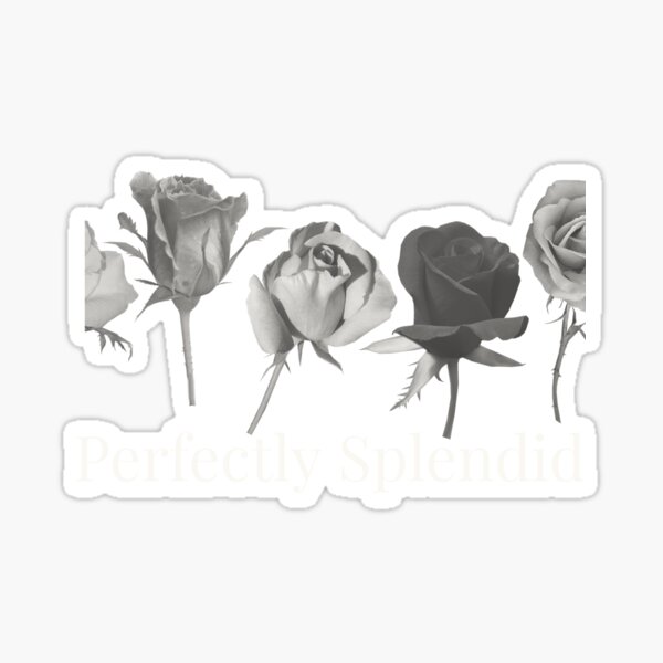 "Perfectly Splendid" Sticker for Sale by hashnan21 | Redbubble