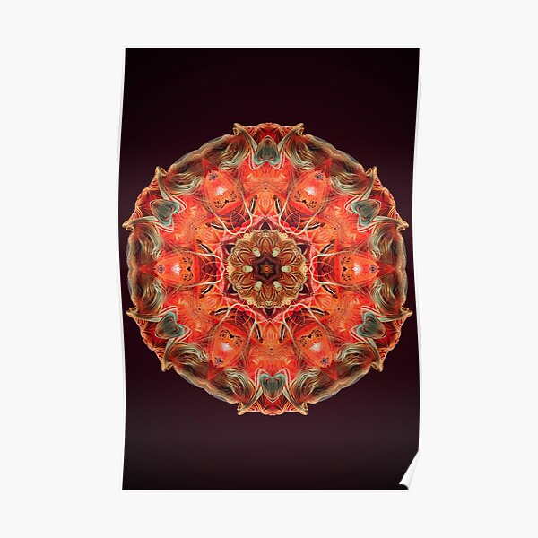 "Chaotic Lines Colorful Mandala #1" Poster by chaoticlines | Redbubble