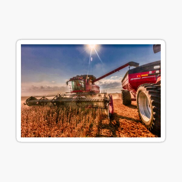 "High Noon" Sticker for Sale by Studio601 | Redbubble