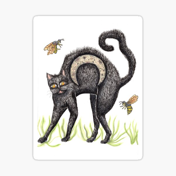 "Scared meow" Sticker by riveydraws | Redbubble