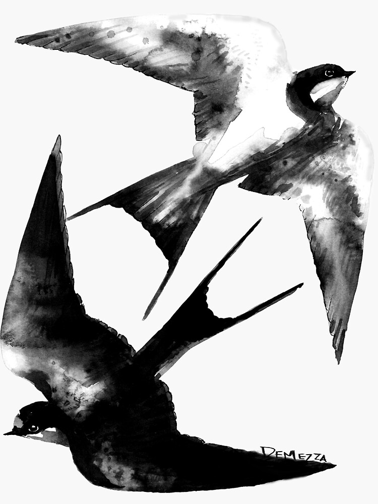 "Black and White Barn Swallows " Sticker for Sale by DanaDeMezza ...