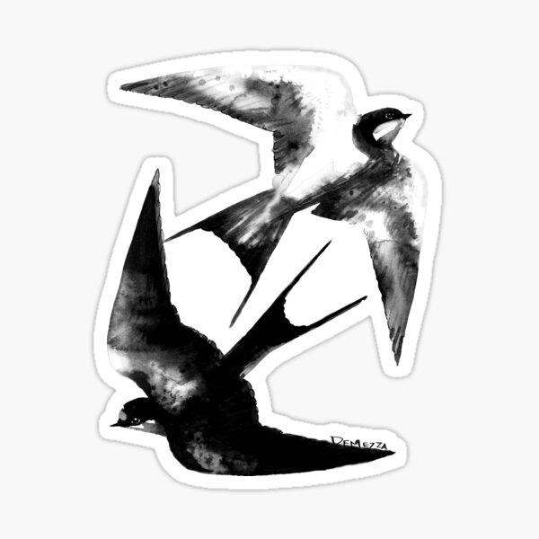 "Black and White Barn Swallows " Sticker for Sale by DanaDeMezza ...