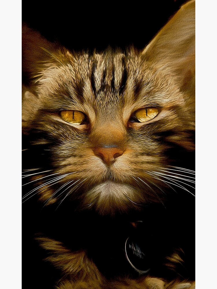 "Hendrix The Coastal Cat. " Framed Art Print for Sale by IanDonCrockett ...
