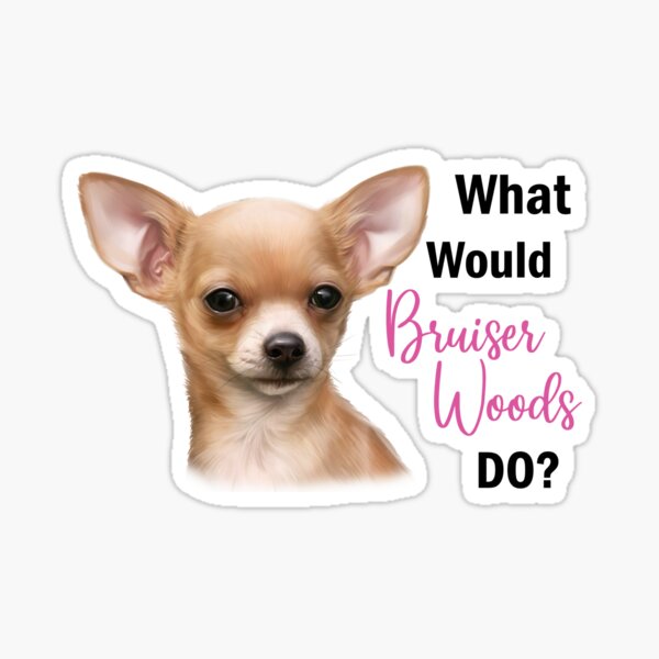 "What Would Bruiser Woods Do? Legally Blonde" Sticker by KristyBDesigns ...