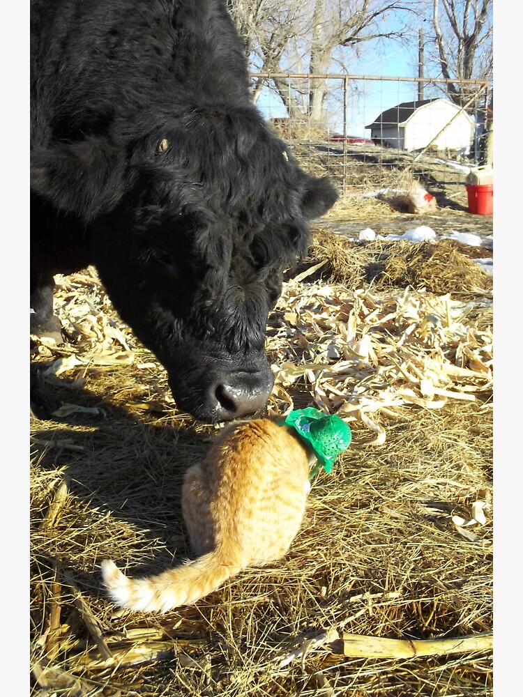 "Thunder Paws the Leprechaun" Sticker by JobieMom | Redbubble