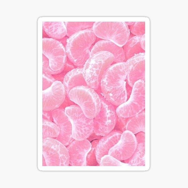 "Pink Mandarin " Sticker for Sale by asun5 | Redbubble