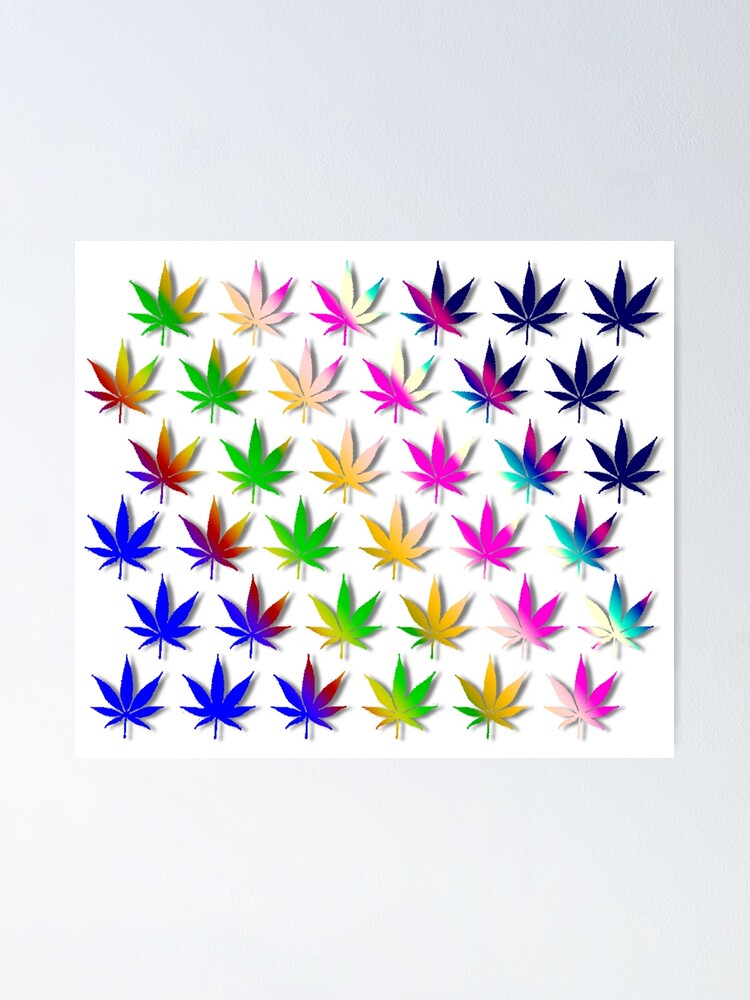"Leaves abound!" Poster for Sale by asphaltimages | Redbubble