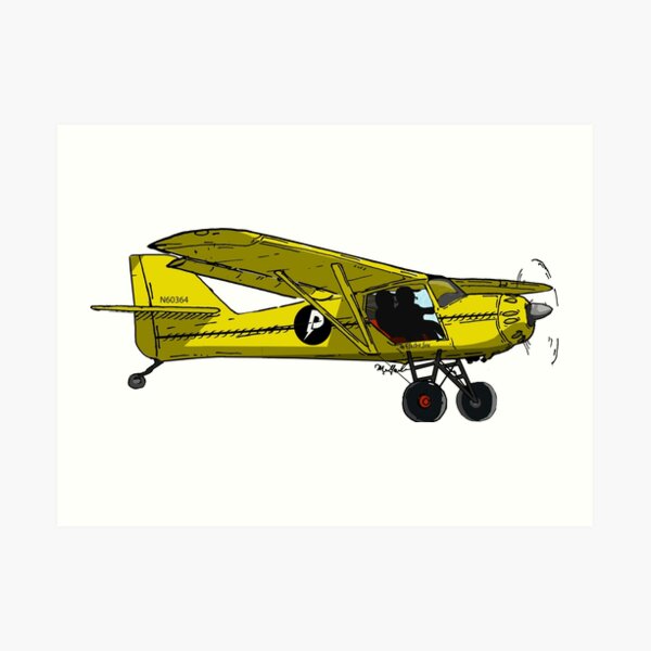 "Kitfox N60364" Art Print by Statepallets | Redbubble
