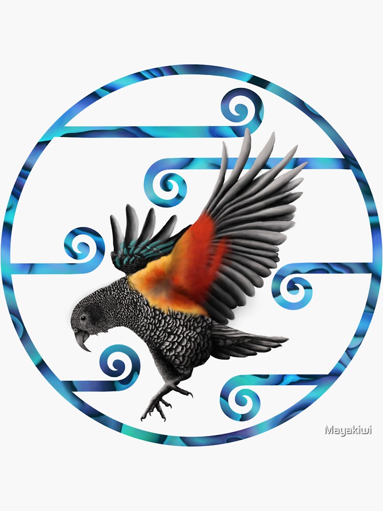 " Kea koru Paua " Sticker for Sale by Mayakiwi | Redbubble