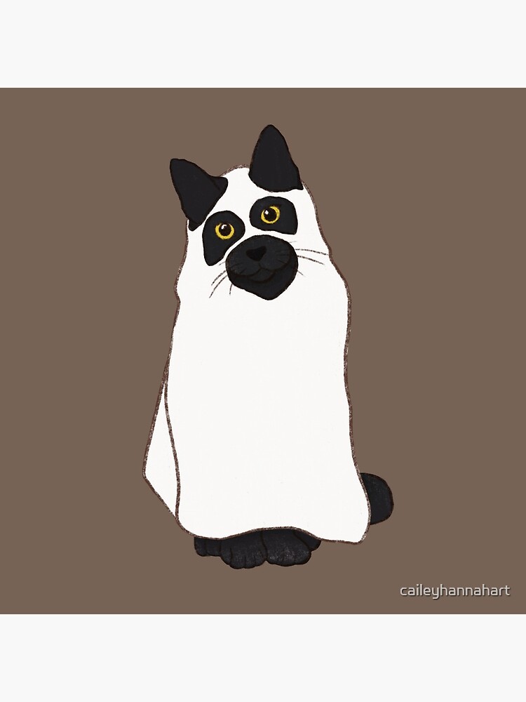 "Sheet Ghost Black Cat" Art Print by caileyhannahart | Redbubble