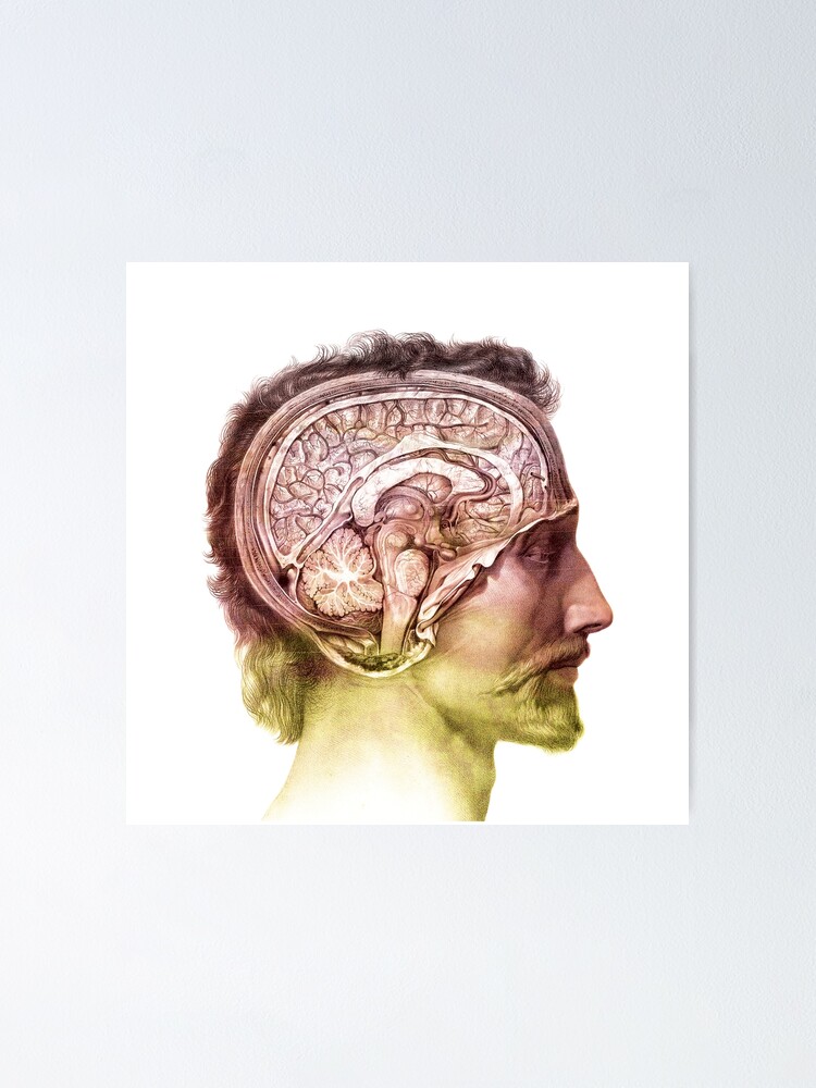 "Inner Machinations [Gold]" Poster by Anatonomicon | Redbubble