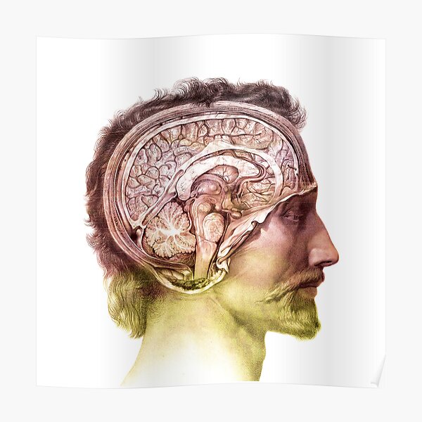 "Inner Machinations [Gold]" Poster by Anatonomicon | Redbubble