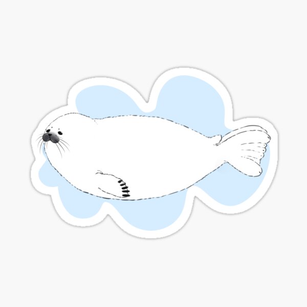 "Whitecoat baby seal!" Sticker by seafari | Redbubble