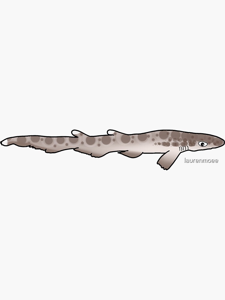 "African Sawtail Catshark" Sticker by laurenmoee | Redbubble