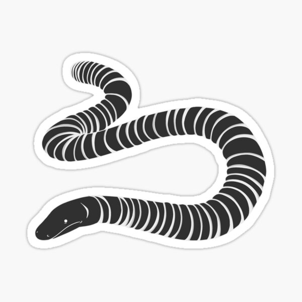 "Caecilian" Sticker for Sale by holvure | Redbubble