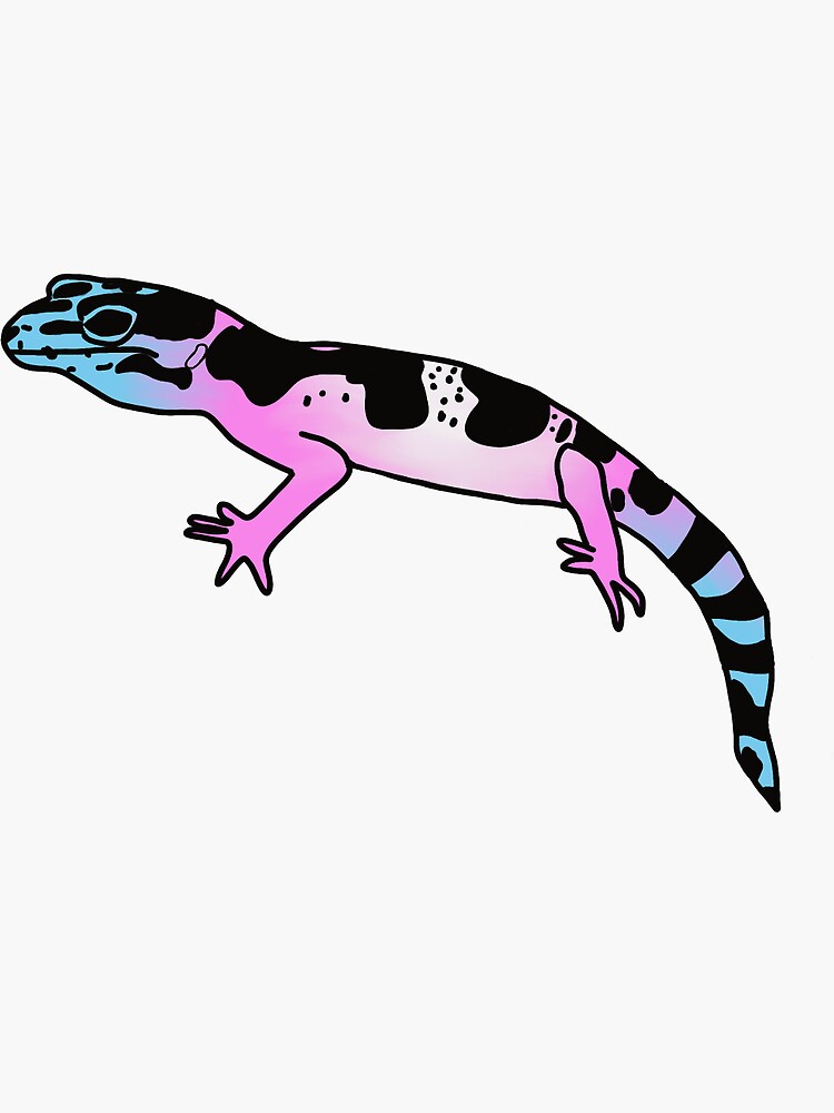 "trans flag leopard gecko" Sticker by milesebl | Redbubble