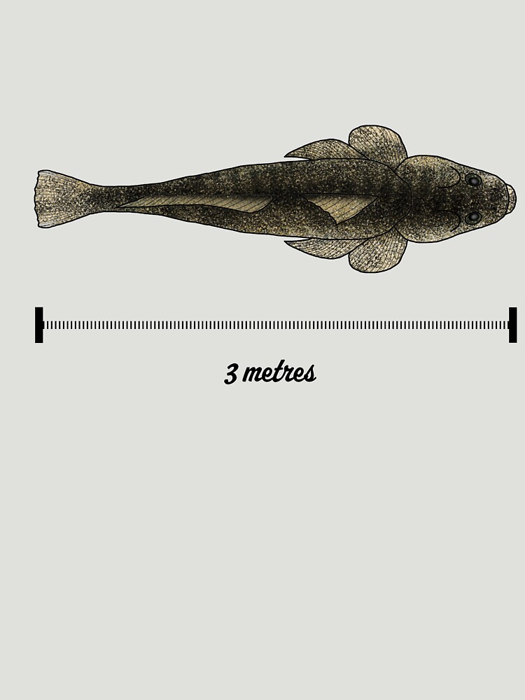 "Three Metre Flathead" T-shirt for Sale by TheWildKays | Redbubble ...