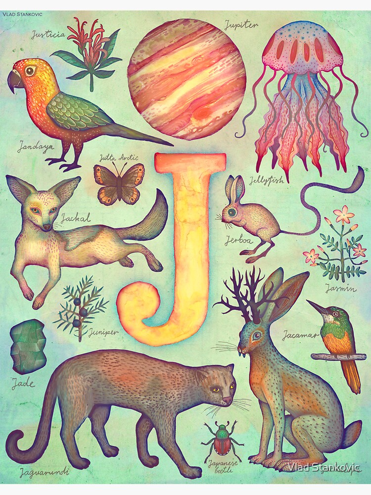 "'J' is for..." Sticker for Sale by vladimirsart | Redbubble