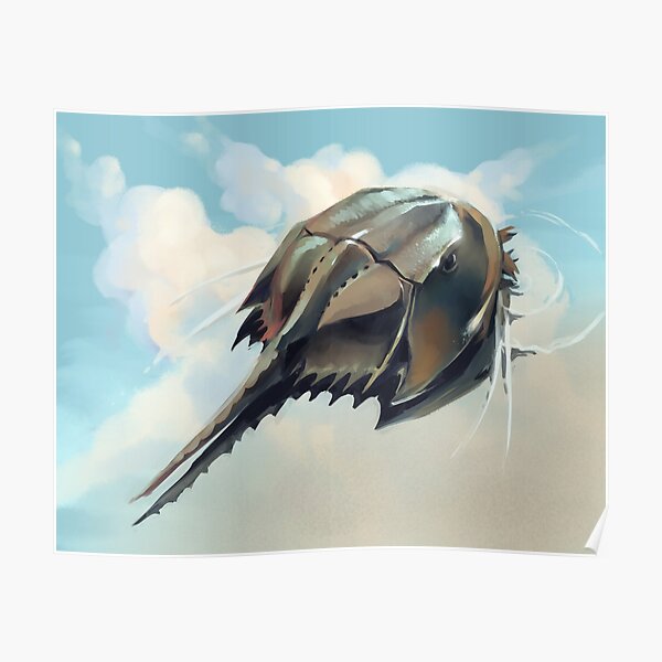 "Horseshoe Crabbing" Poster for Sale by Bedupolker | Redbubble