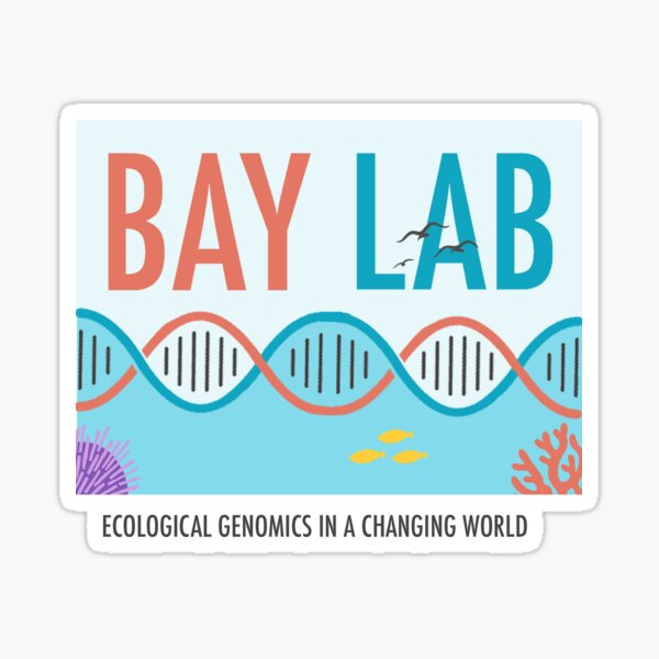 "Bay Lab Logo (2)" Sticker by ROBD1005 | Redbubble