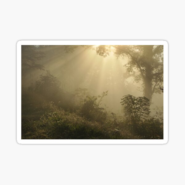 "find your way" Sticker for Sale by dcwitmer | Redbubble