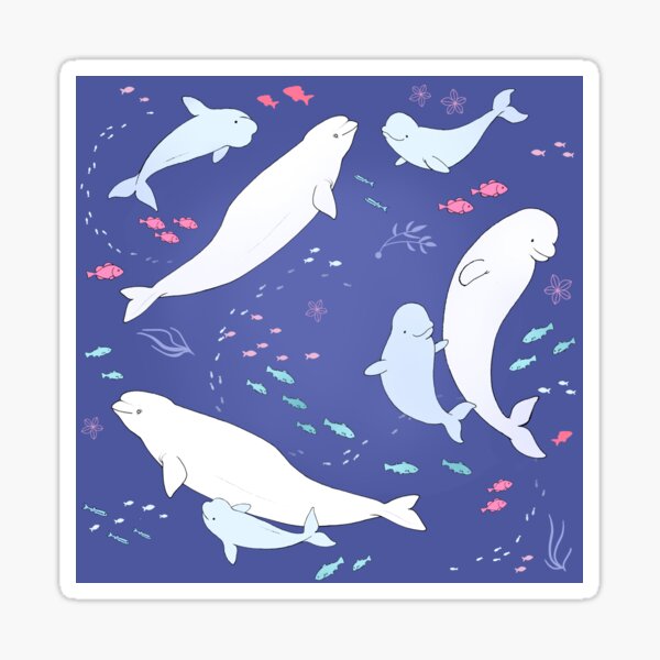 "Baby Beluga" Sticker for Sale by MadeByBKG | Redbubble