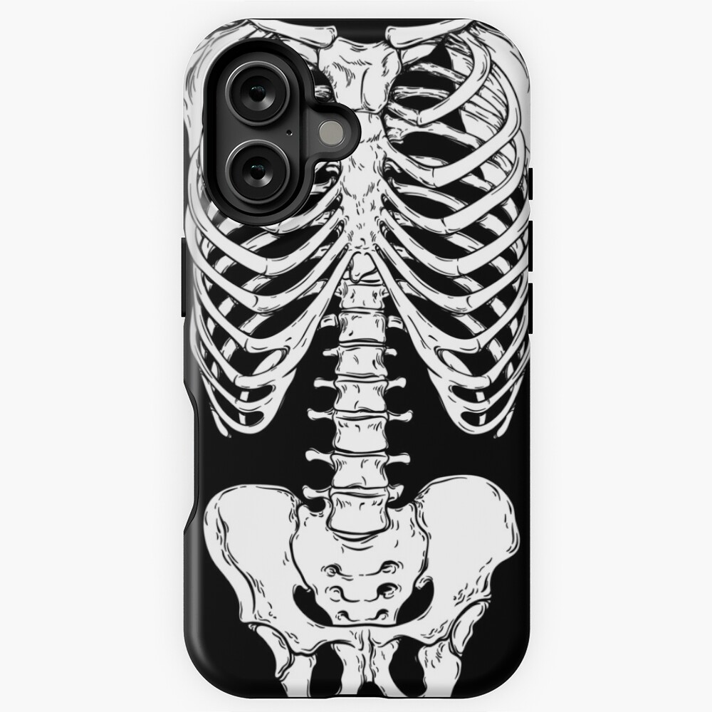 "Human Ribcage and Hips - Anatomically Correct Human Skeleton ...