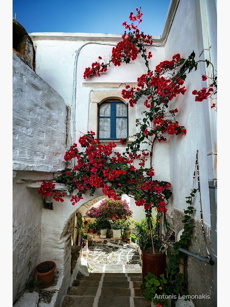 "Picturesque side street with arched passage" Photographic Print for ...