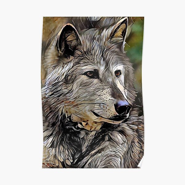 "grey wolf " Poster by StudioCorvid | Redbubble