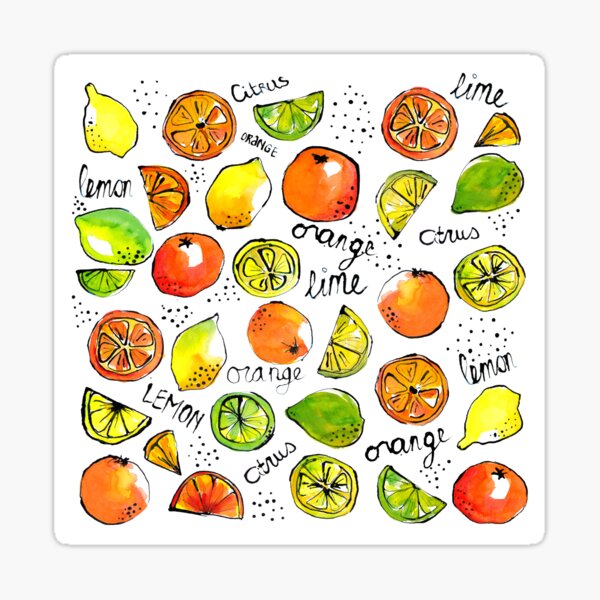 "Citrus fruit lime orange lemon sketches food illustration" Sticker by ...