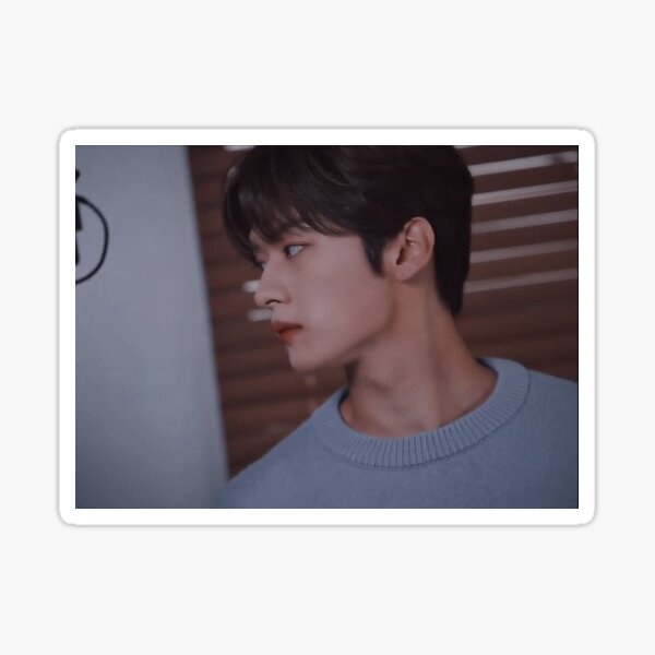 "Stray Kids- Lee Know" Sticker for Sale by zainabsamin2003 | Redbubble