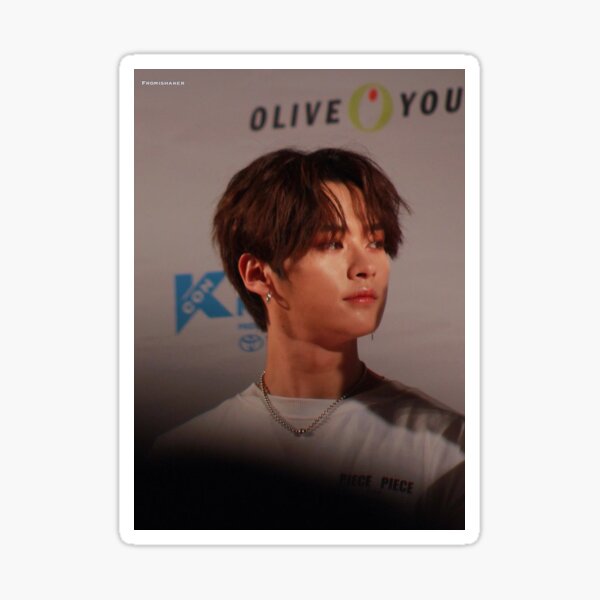 "Stray Kids- Lee know" Sticker for Sale by zainabsamin2003 | Redbubble