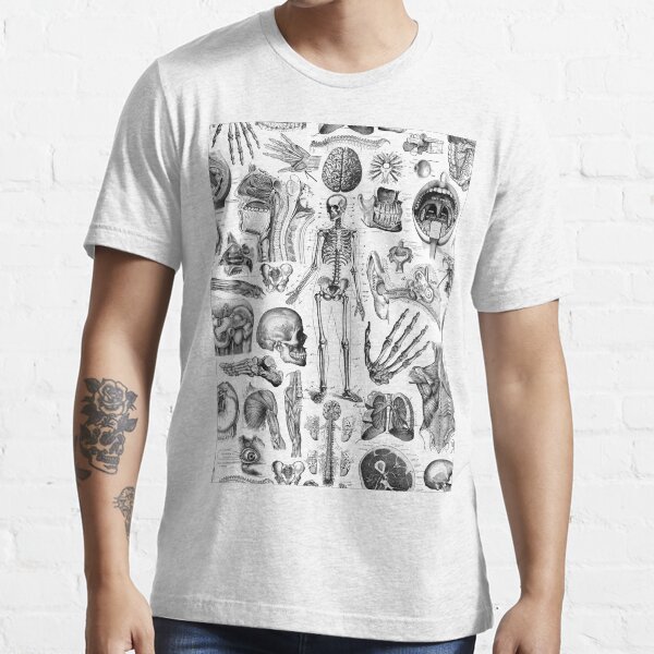 "Human Anatomy White Print" T-shirt by adamcampen | Redbubble | human ...