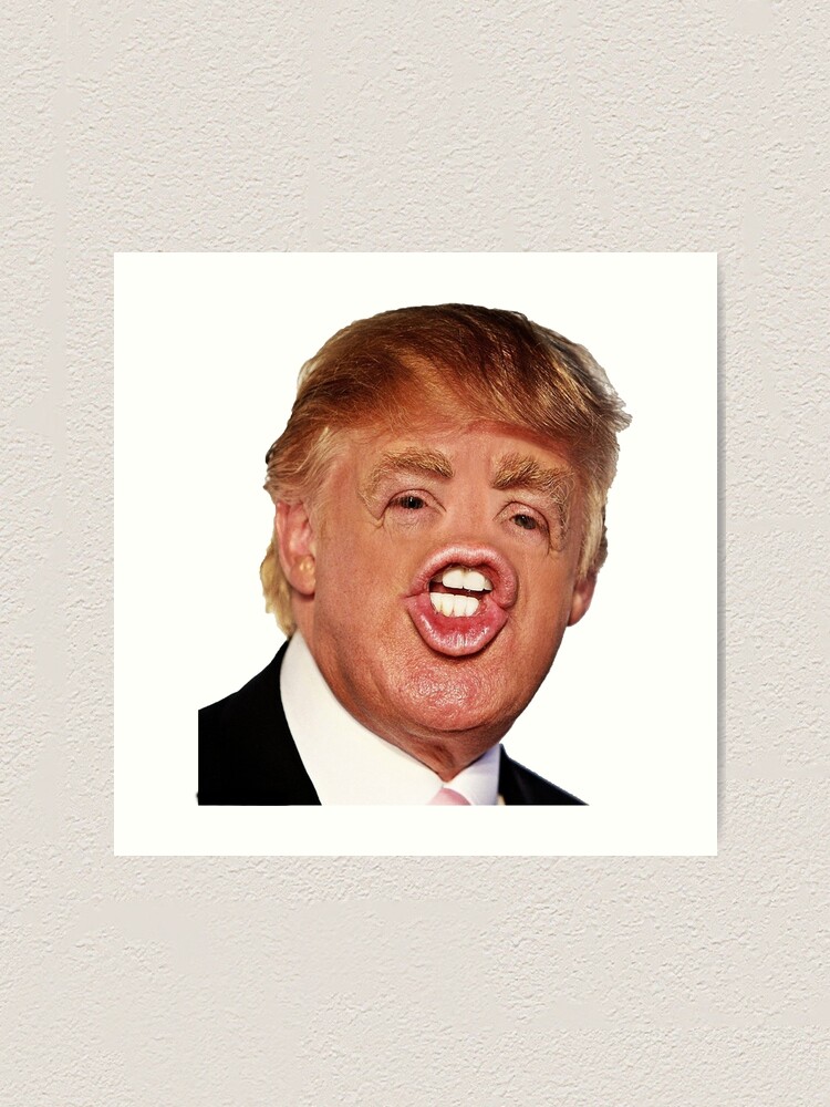 "Funny Donald Trump Meme" Art Print by KiyomiShop | Redbubble