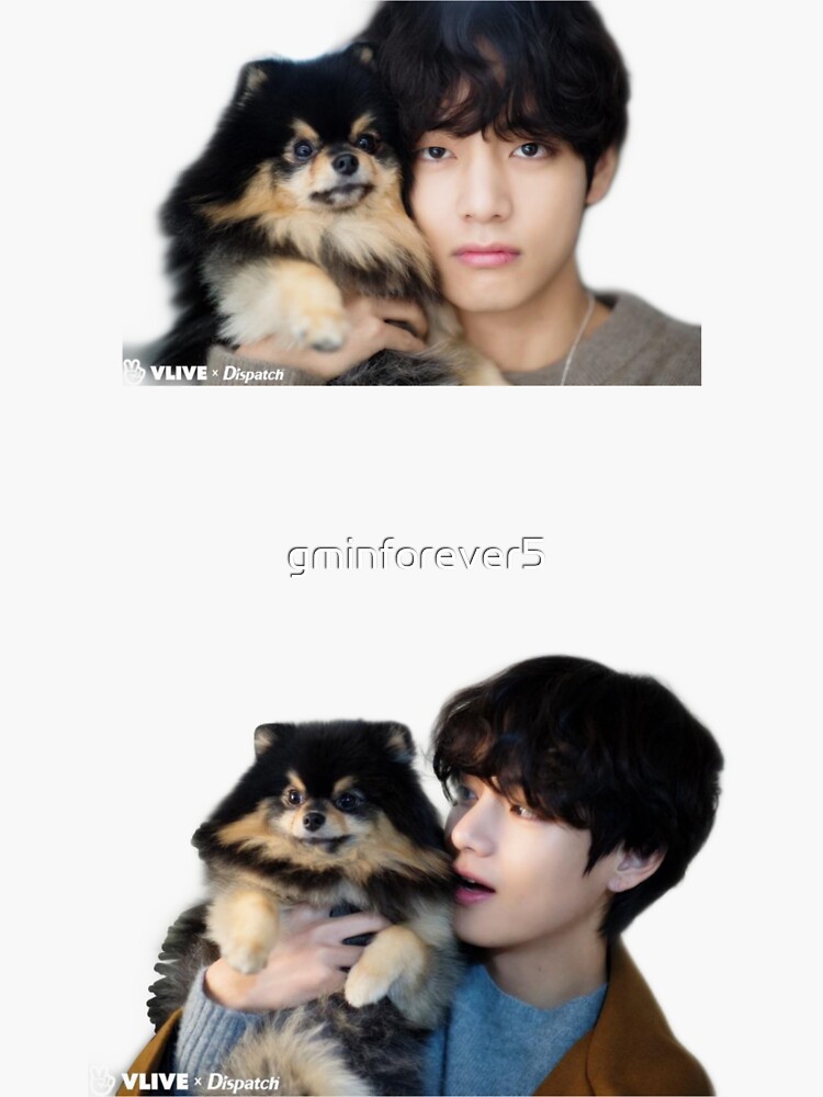 "Bts taehyung and yeontan" Sticker for Sale by gminforever5 | Redbubble