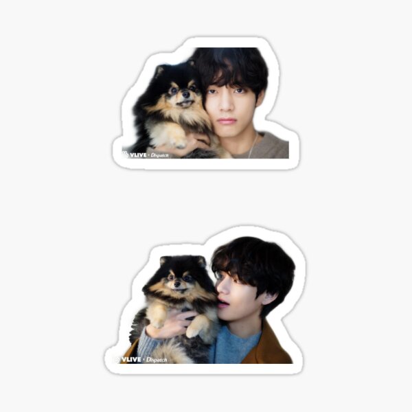 "Bts taehyung and yeontan" Sticker for Sale by gminforever5 | Redbubble