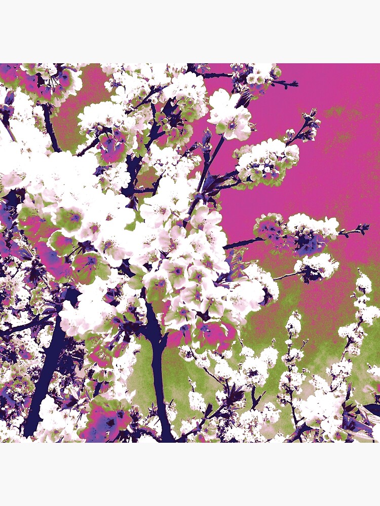 "Purple Hanami Cherry Blossom Vintage Pop Art" Art Print by Konfortable ...