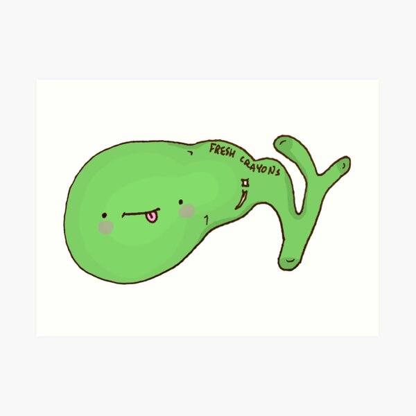 "Cute gallbladder anatomy " Art Print by FreshCrayonsArt | Redbubble