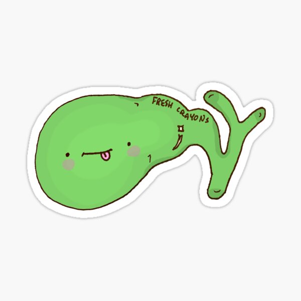 "Cute gallbladder anatomy " Sticker for Sale by FreshCrayonsArt | Redbubble