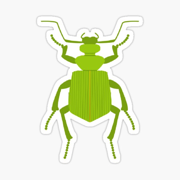 "Green Beetle (Fiery Searcher Beetle)" Sticker for Sale by ...